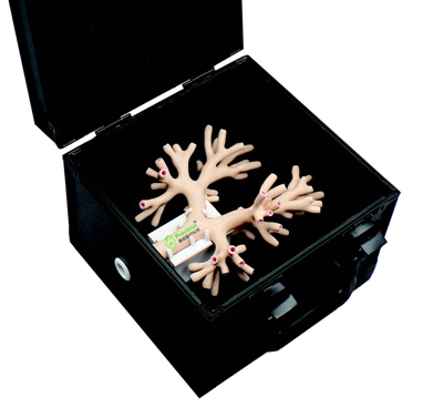 Bronchoscopy Simulator Manufacturer, Bronchoscopy Training Model ...