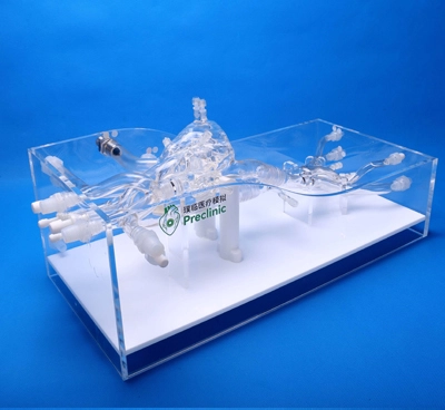 Heart Surgery Simulator Manufacturer, Cardiovascular Simulator ...