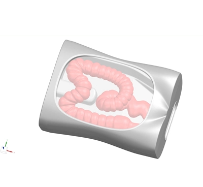 Colonoscopy Training Model Manufacturer | Preclinic Medtech