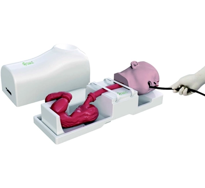 Upper Gastrointestinal Simulator Manufacturer, GI Gastrointestinal ...