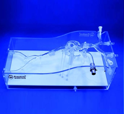 Cardiac Veins Simulation Model (Pacemaker Electrode Implantation ...