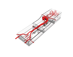 medical simulation training equipment/products/devices | Preclinic Medtech