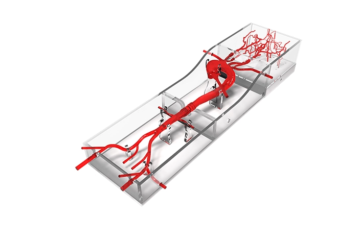 Silicone Vessels Simulation Model Manufacturer, Vascular Simulation ...