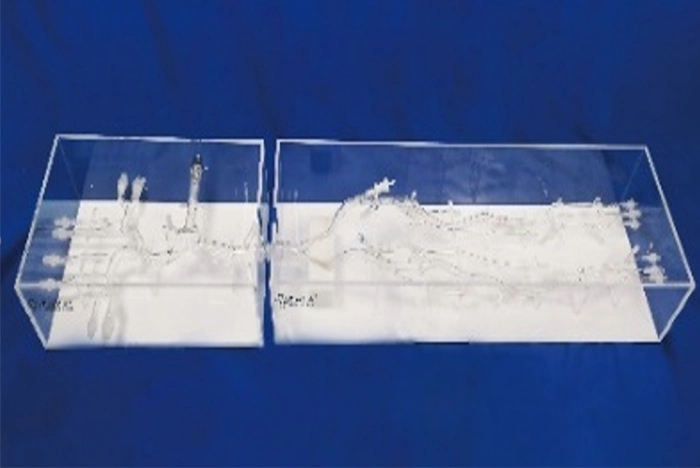 Silicone Vessels Simulation Model Manufacturer, Vascular Simulation ...