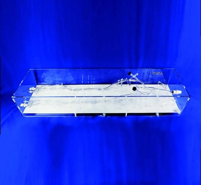 Lower Extremity Artery Simulation Model Manufacturer | Preclinic Medtech