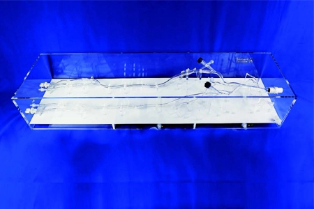 Silicone Peripheral Vessel Simulation Models Manufacturer | Preclinic ...