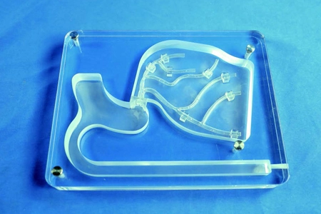 Left Atrial Appendage Vessel Simulation Model Manufacturer | Preclinic ...