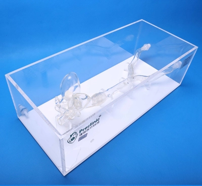 Transseptal Puncture Vessel Simulation Model Manufacturer | Preclinic ...