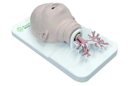 Bronchoscopy Simulator Manufacturer, Bronchoscopy Training Model ...