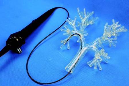 Respiratory Endoscope Simulation Model Manufacturer, Bronchial Tree 3d Model | Preclinic Medtech