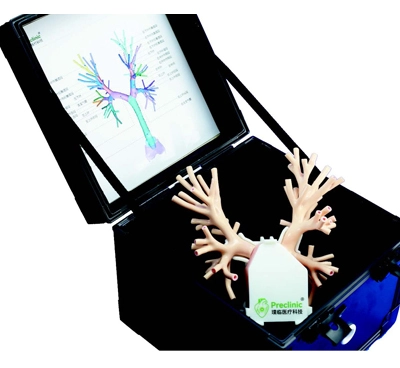 Endobronchial Ultrasound Training Model Manufacturer, Ultrasonic ...