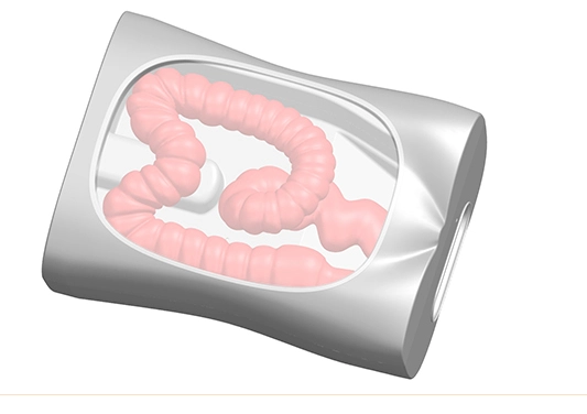 Colonoscopy Training Model Manufacturer | Preclinic Medtech
