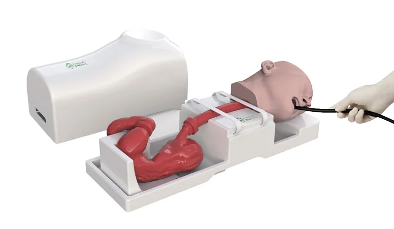 Medical Simulation Model Solutions | Preclinic Medtech